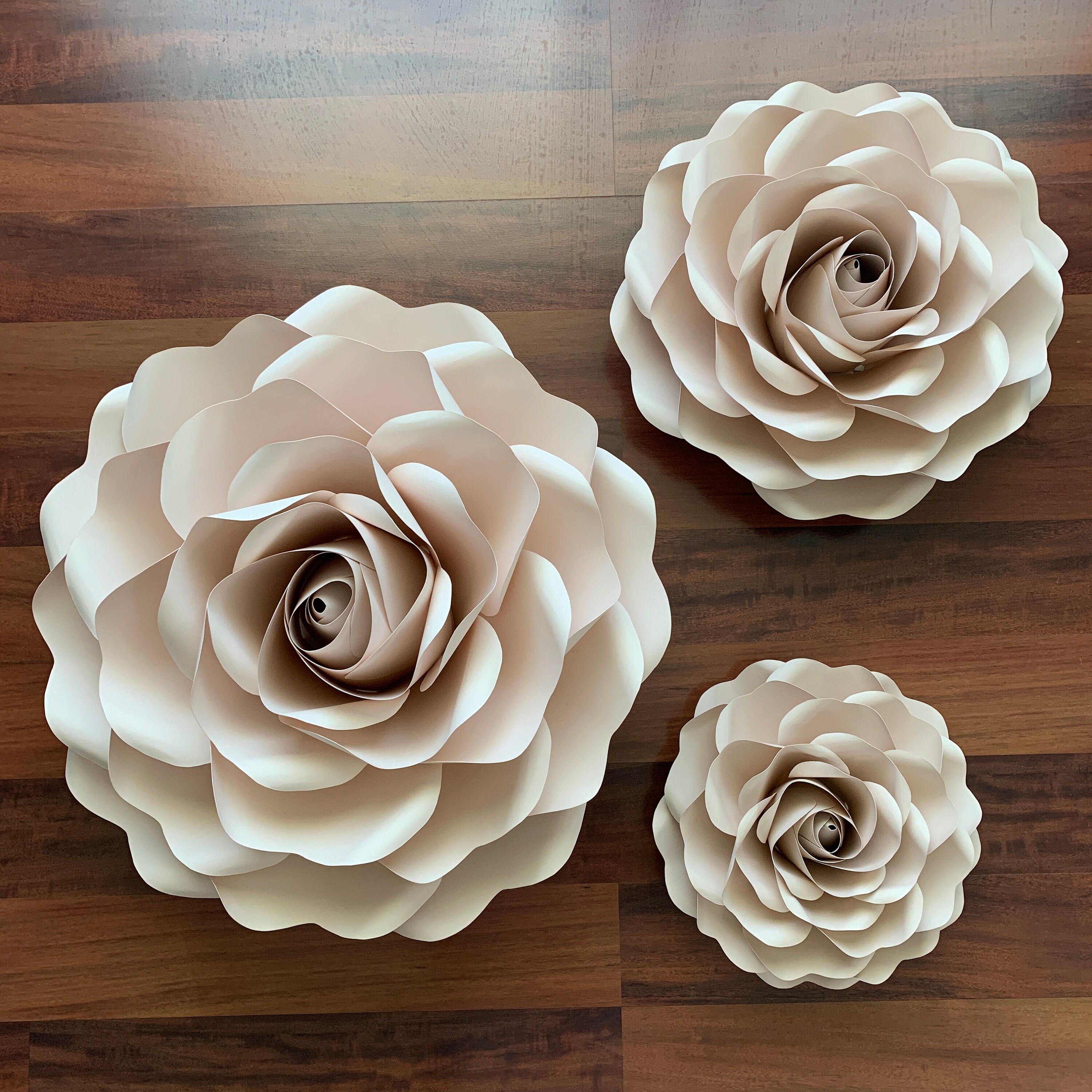 SVG PNG DXF Full Size Rose 6 of Large, Medium, & Small Rose Paper ...