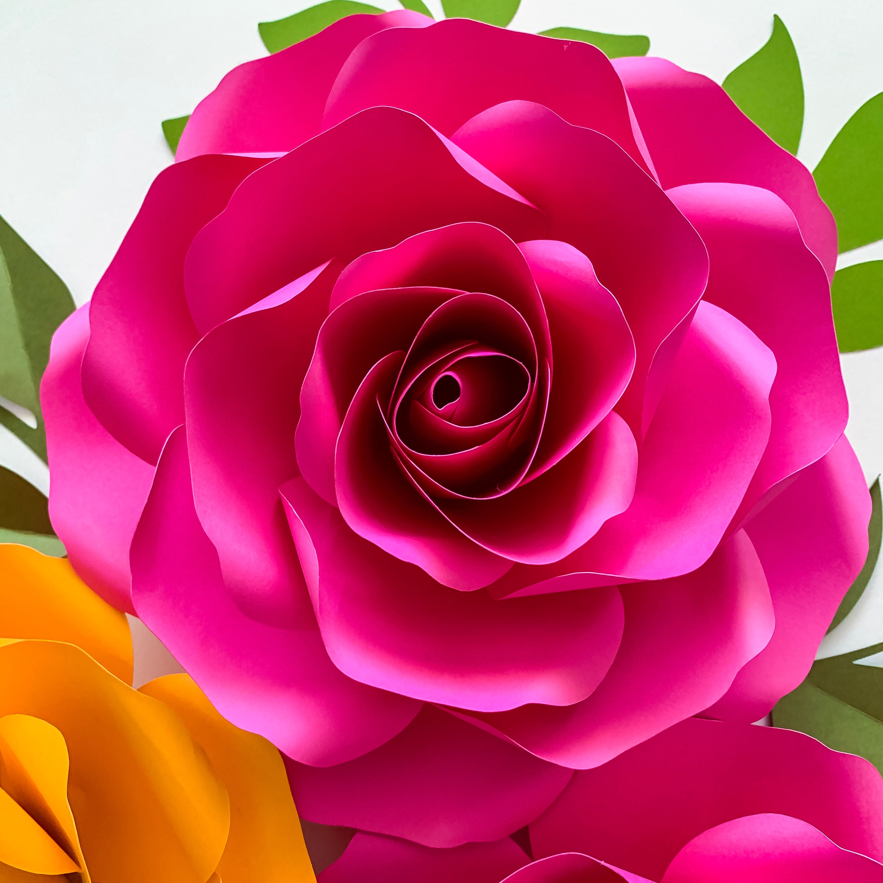 SVG PNG DXF Morning Rose Template for Cricut and Silhouette | Etsy