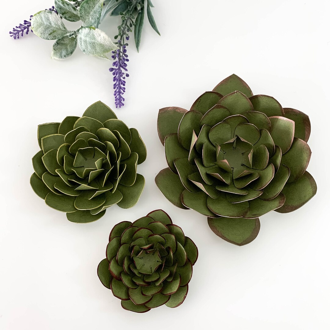 SVG PNG DXF Succulent Cut Files Cutting Machine No Resizing Needed Can ...