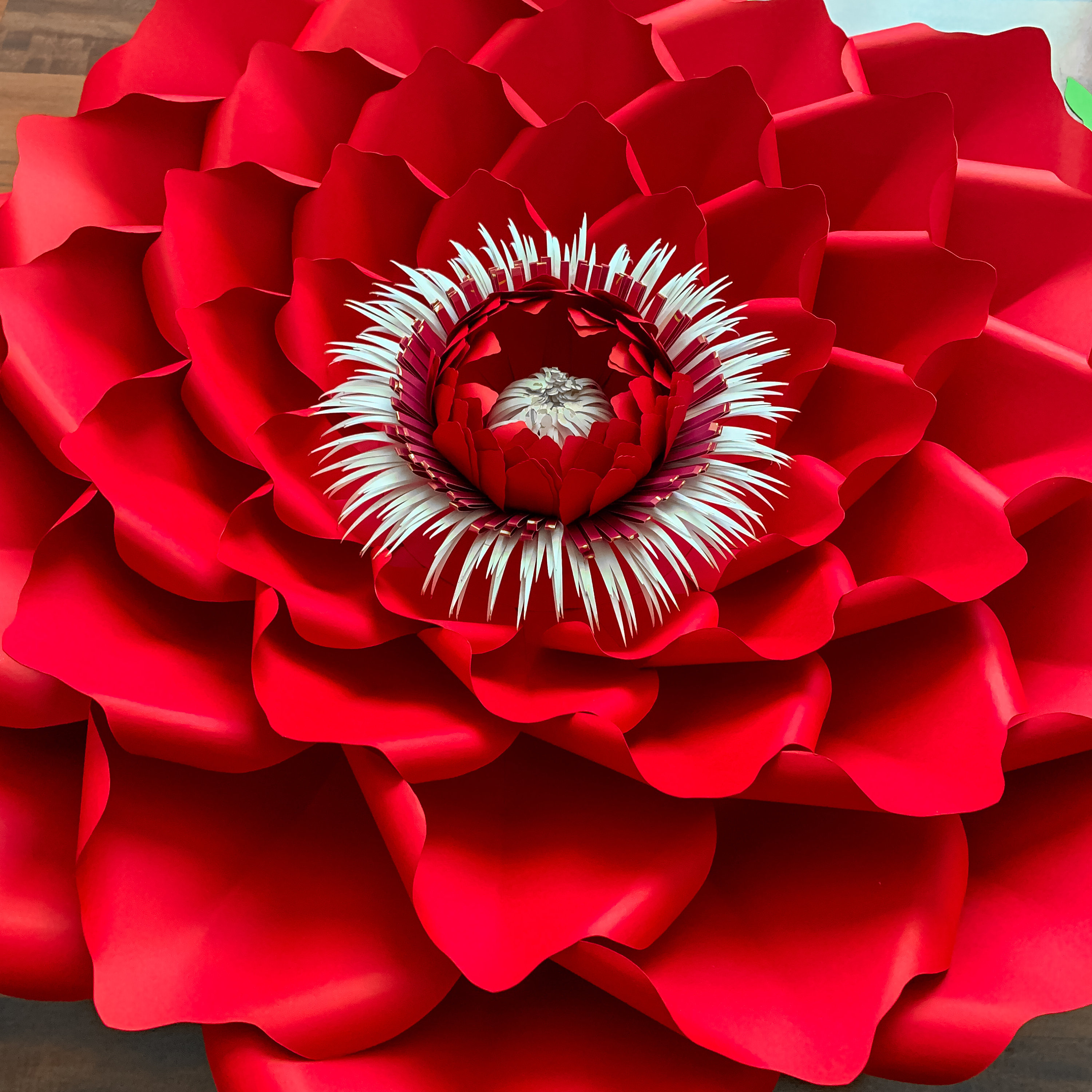 PDF Printable Petal 51 XL 25 3d DIY Paper Flower | Etsy