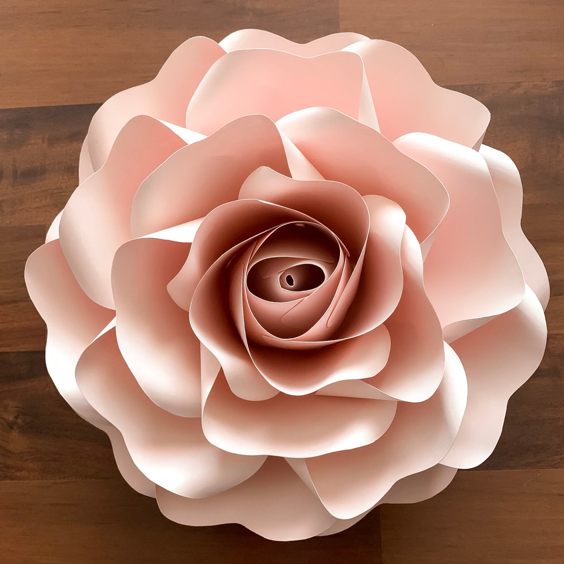GIANT PAPER ROSE Template Svg Xl Full Size Rose 6 Diy Paper - Etsy