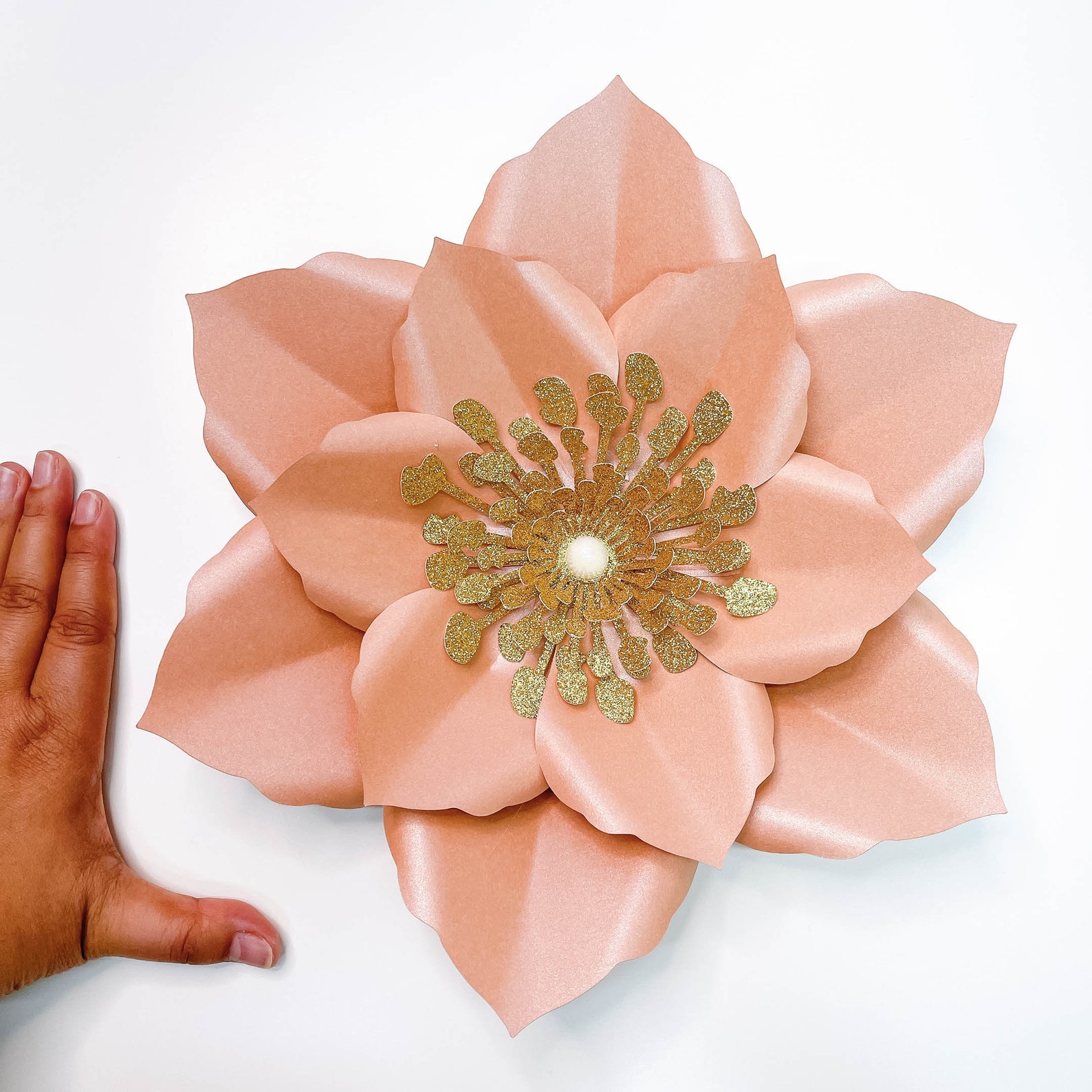 Vector Cut Files Petal 180 Paper Flowers Template |flat Center for ...