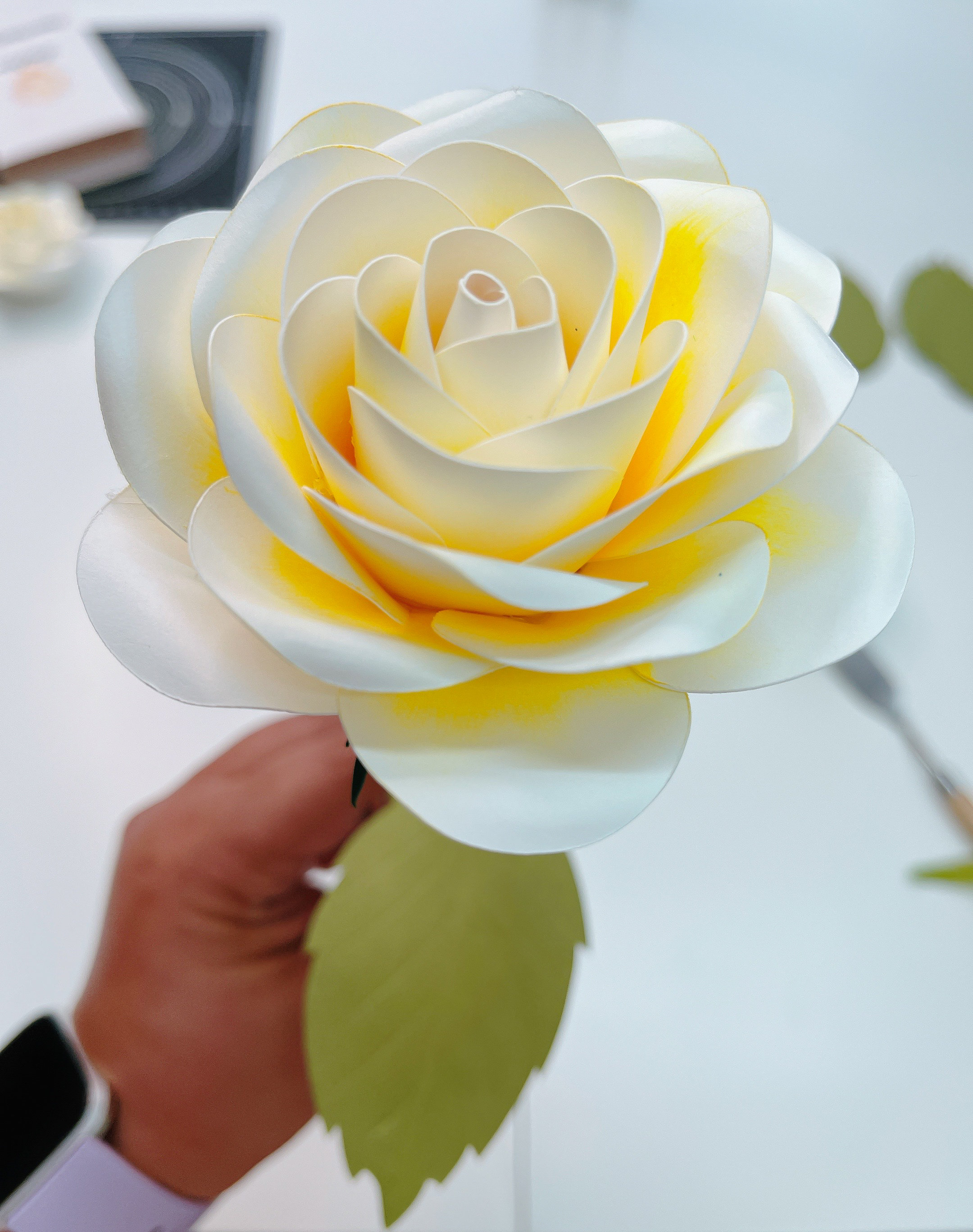 Flower Stem Template