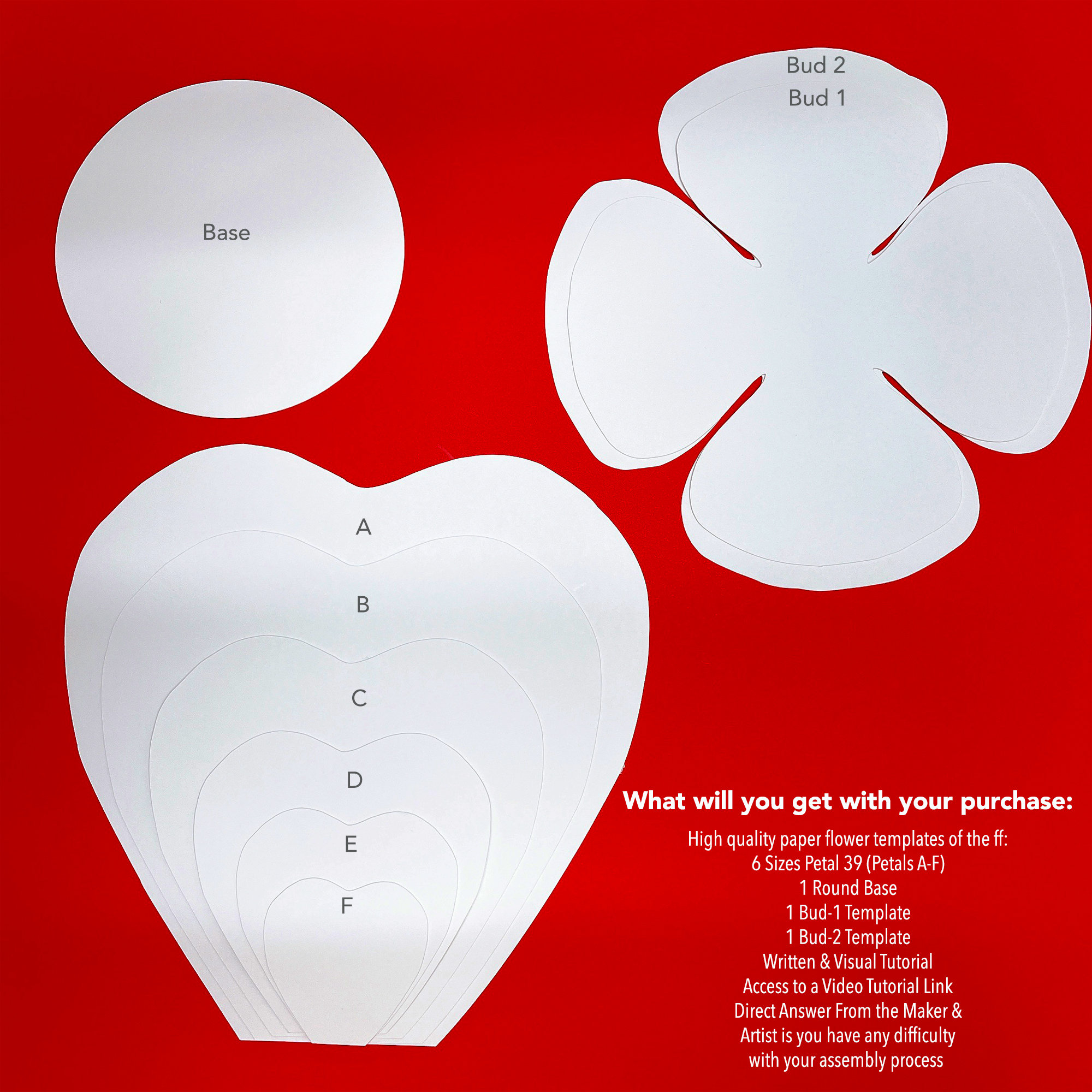 Flower Petals Template Printable