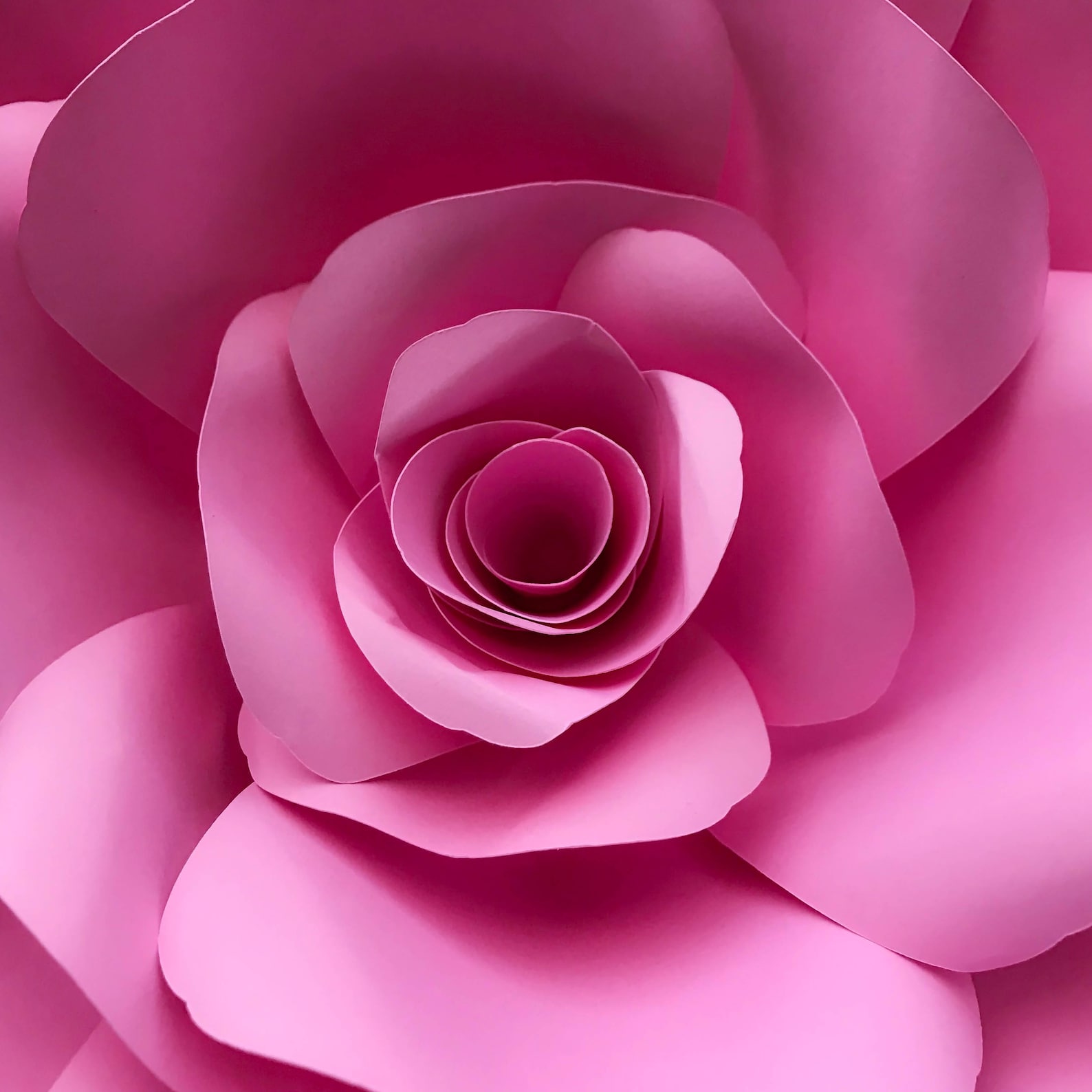 PDF Petal 11 Paper Flower Template W/ Rose Bub Center Instant | Etsy