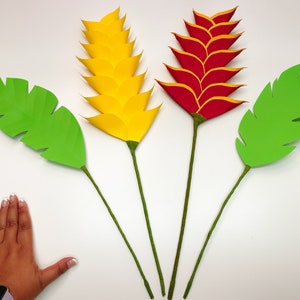 PDF Birch of Paradise Tropical Flower Paper Flower Template, Handcut ...