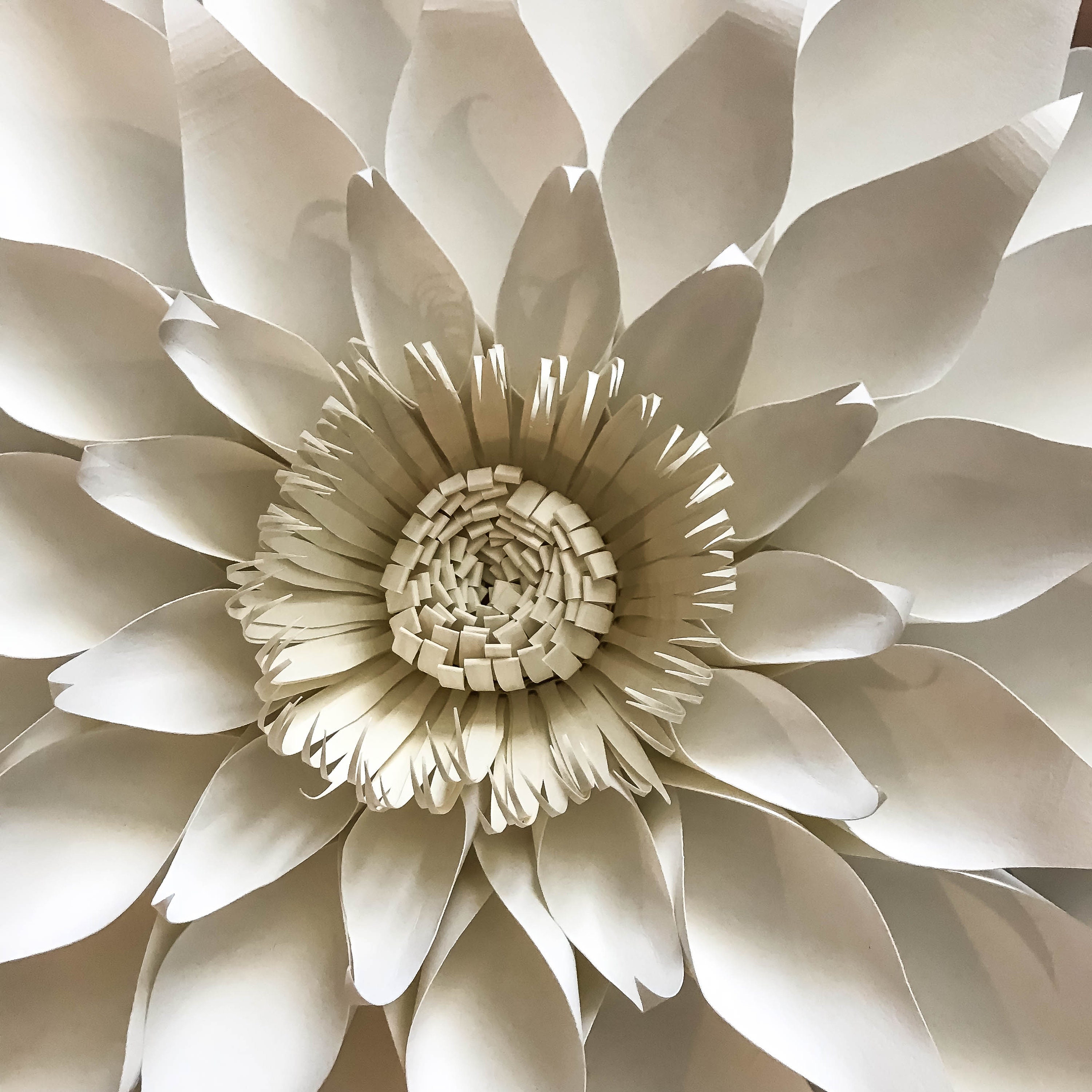 Paper Flowers Paper Flowers PDF Petal 89 Template Trace | Etsy