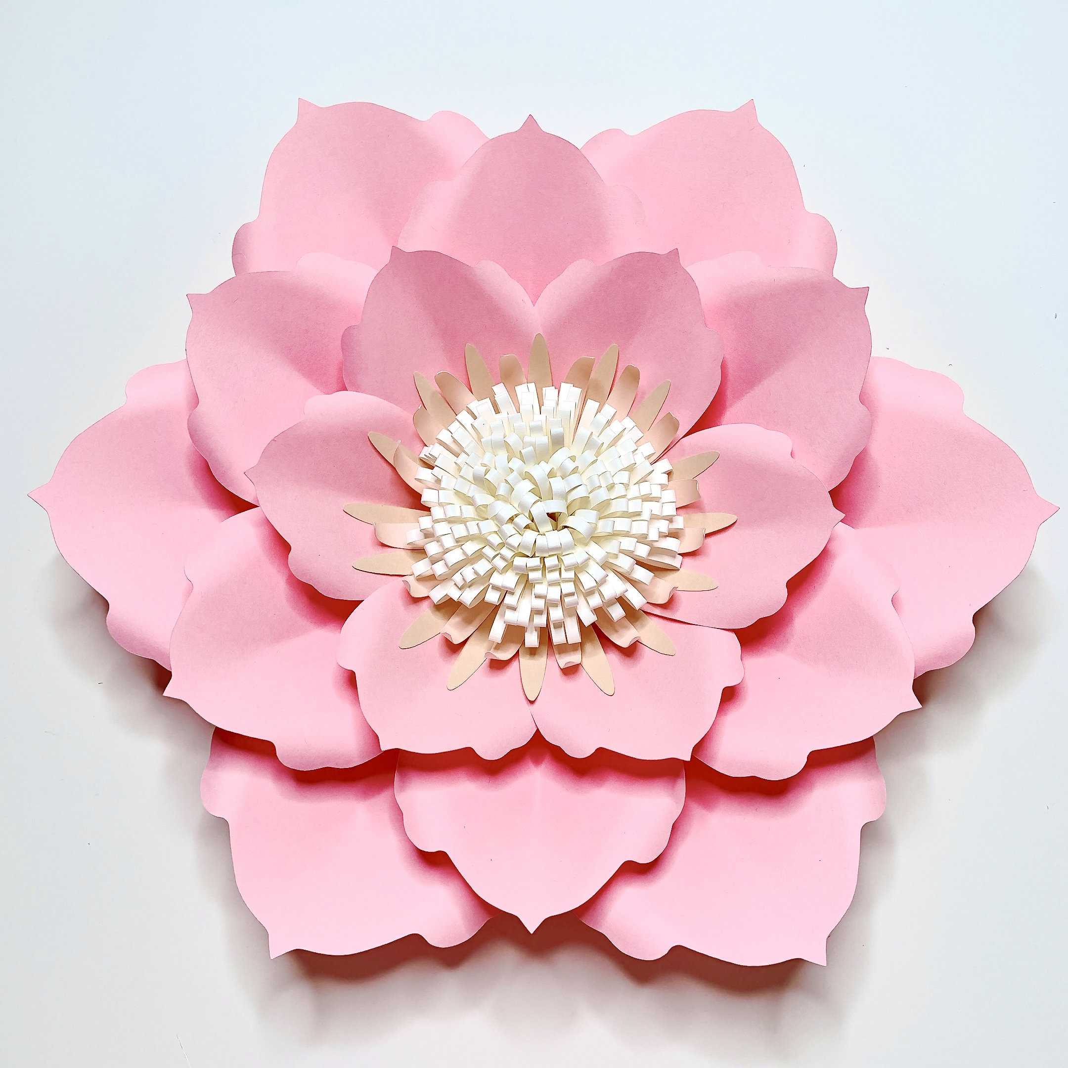 Petal 169 Set SVG PNG DXF Cut Files Paper Flowers Template for Cutting ...