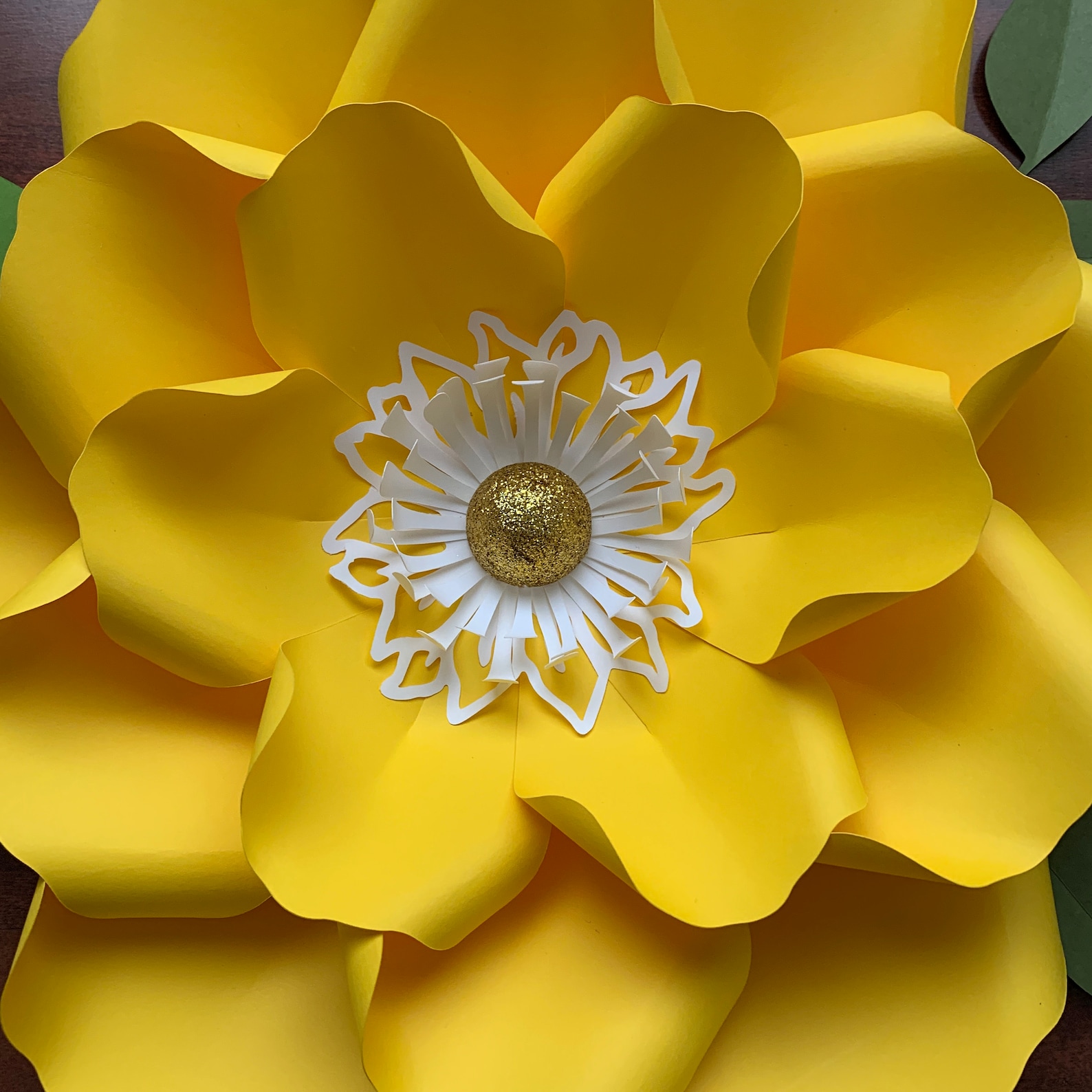 SVG PNG DXF Petal 14 Paper Flower Templates Cut Files for Cutting ...