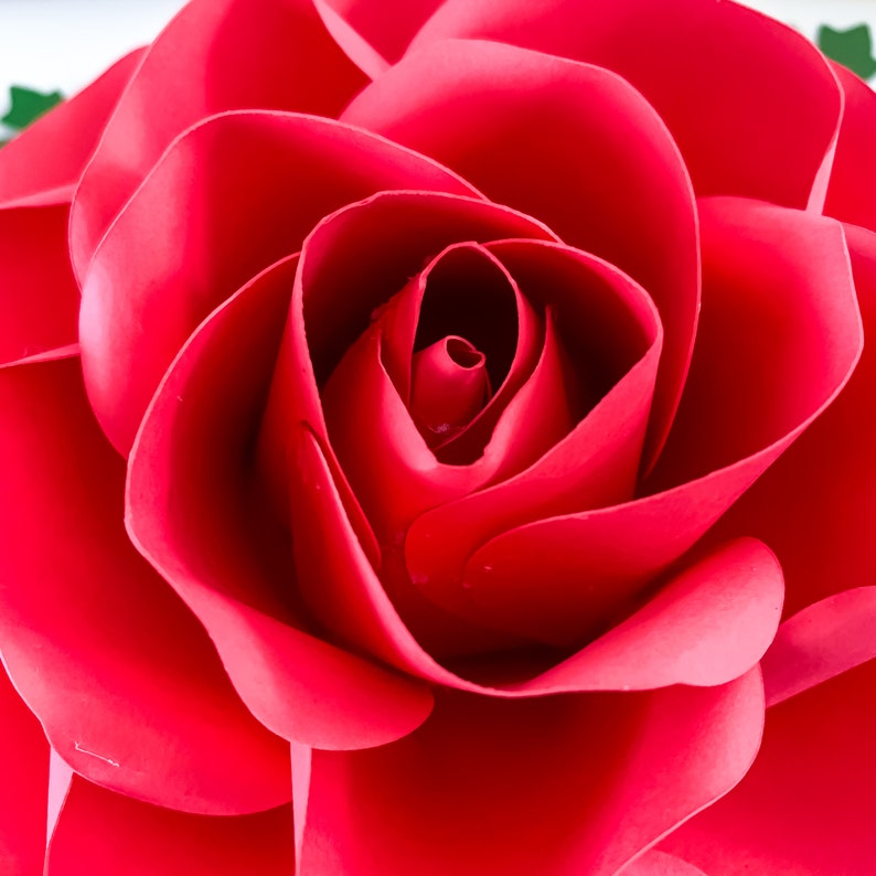 PDF Printable Tiny Rose 7 Cut Files Cutting Machine No | Etsy