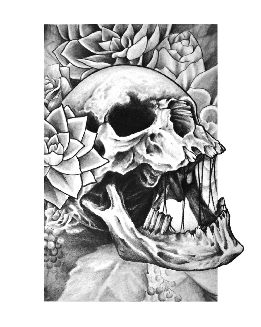 Skull Pencil Drawing - Etsy