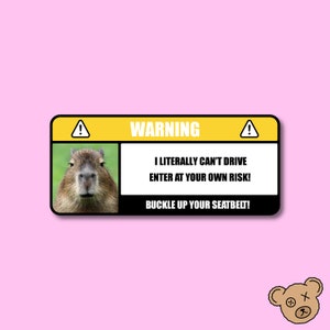Capybara Warning Sticker Bumper Sticker Memes Car Accessories Cardecor ...