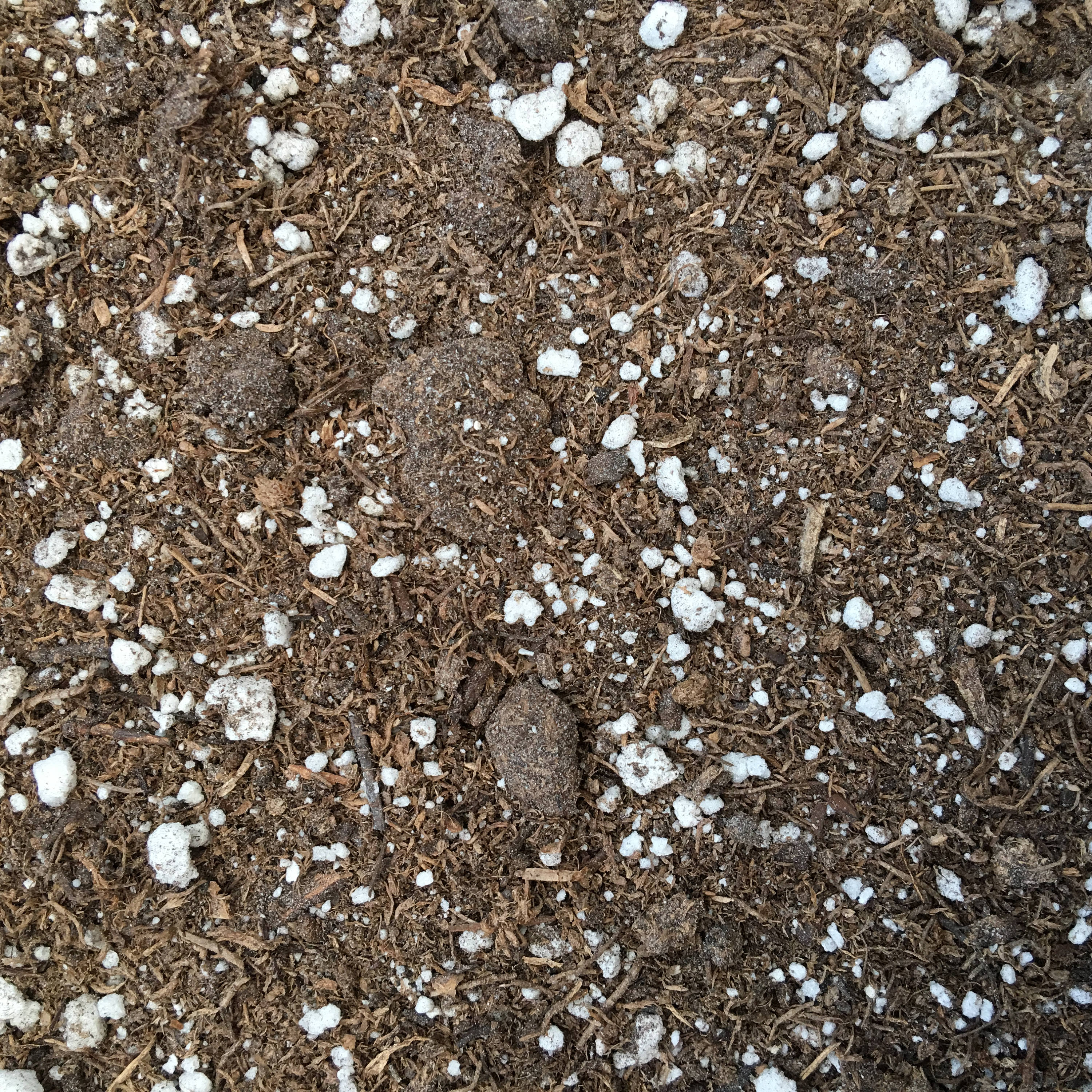 Seamless Potting Soil Texture