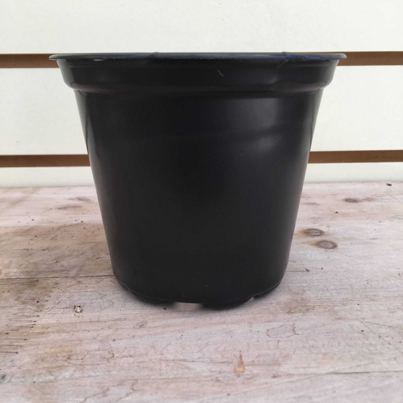 Starter Kit for Large Cuttings 2 Pots - Etsy