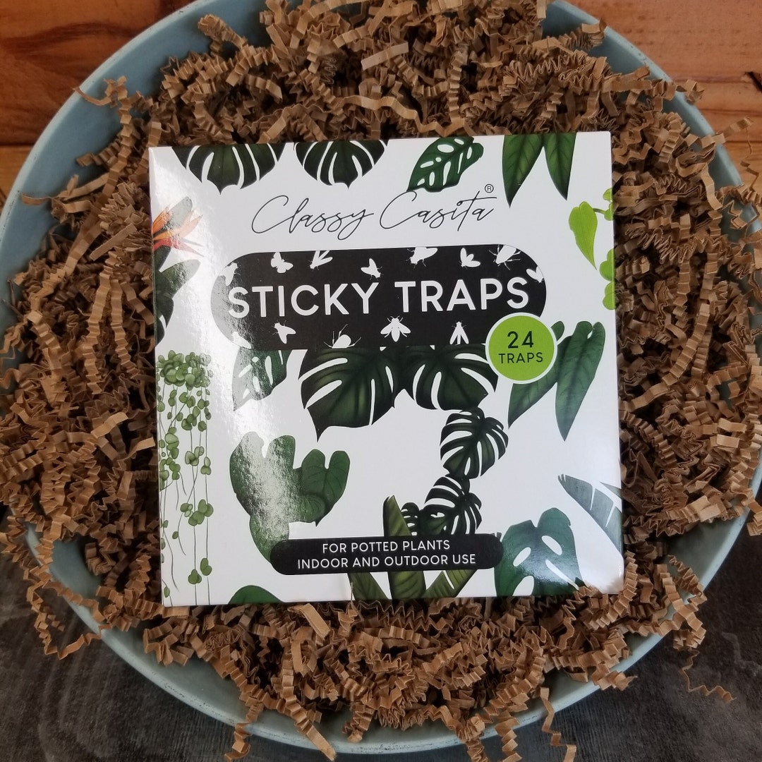Sticky Traps - Etsy