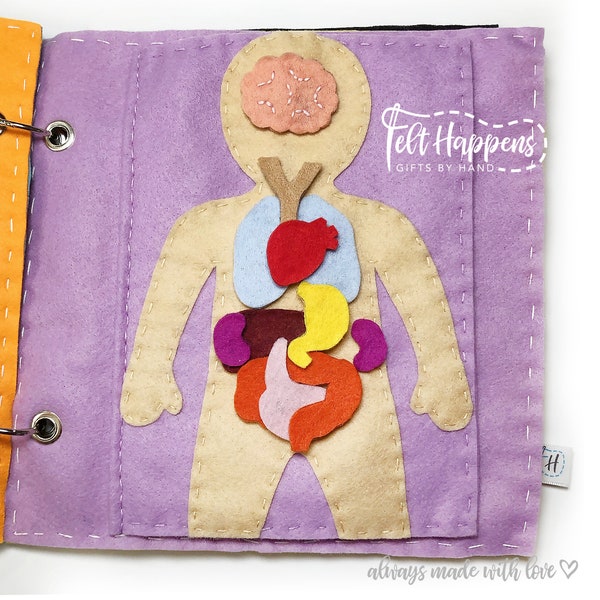 Human Body Felt - Etsy