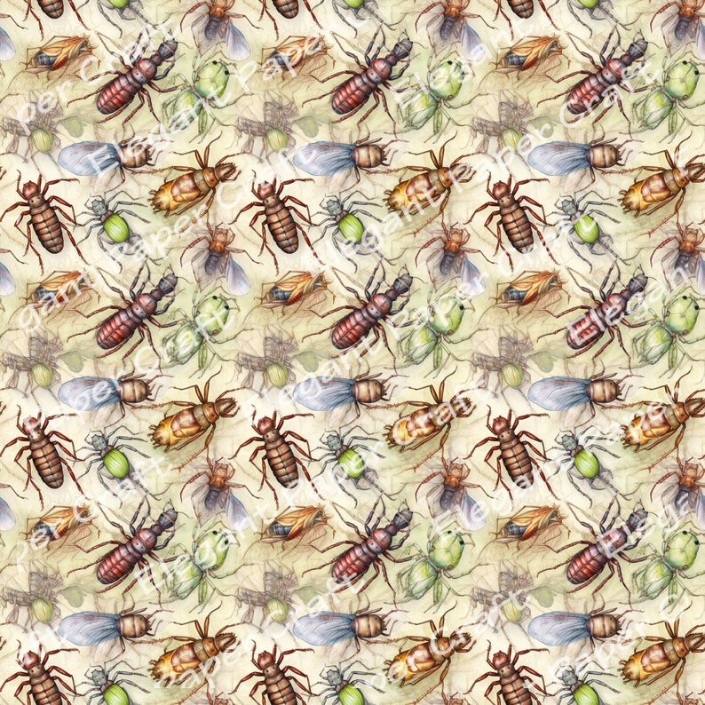 Insects Series 3 | 20 Unique Insect Seamless Patterns | Seamless ...