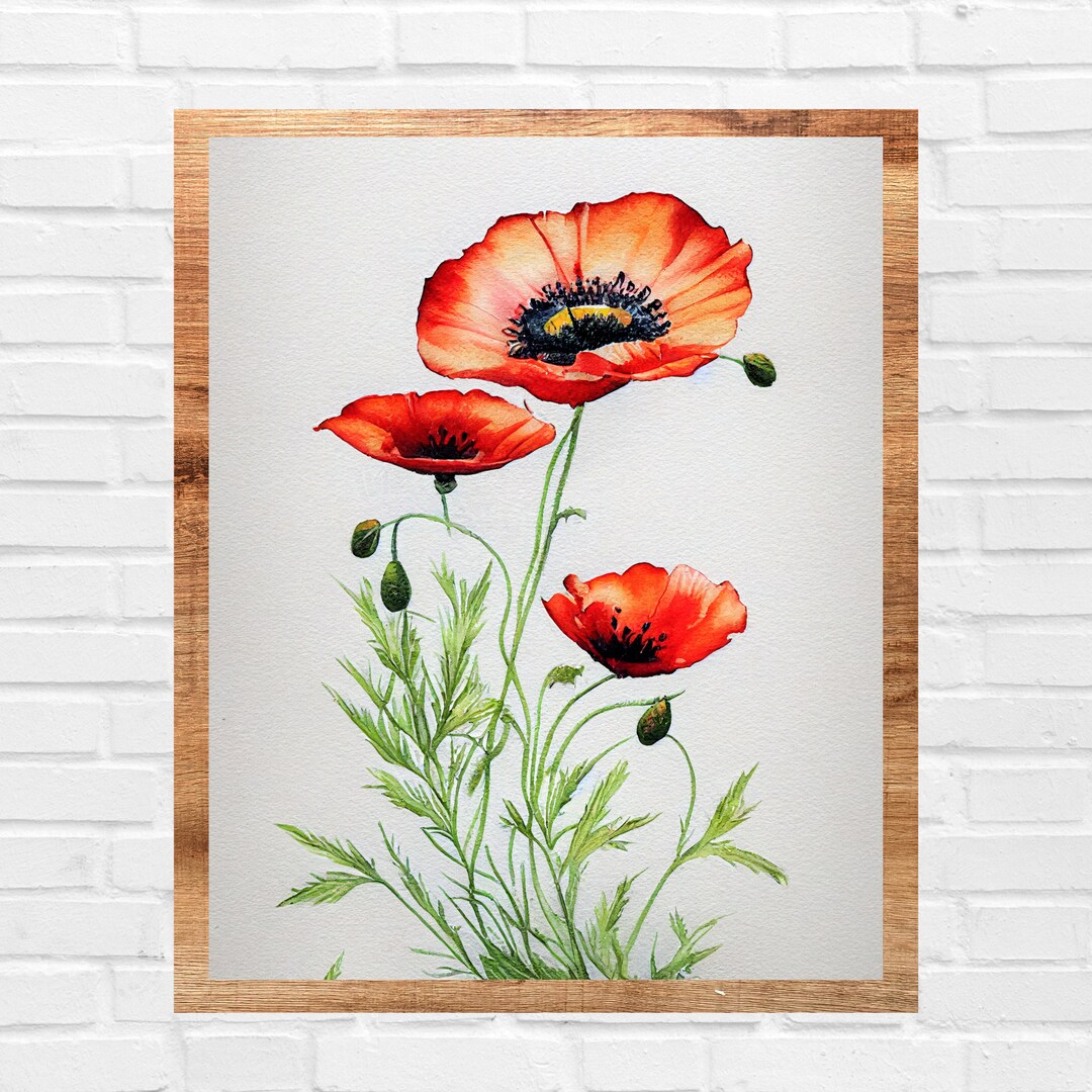 Mohnblumen Aquarell Kunstdrucke, Illustrierte botanische Poster, Kunst Wand Galerie, Cottagecore ...