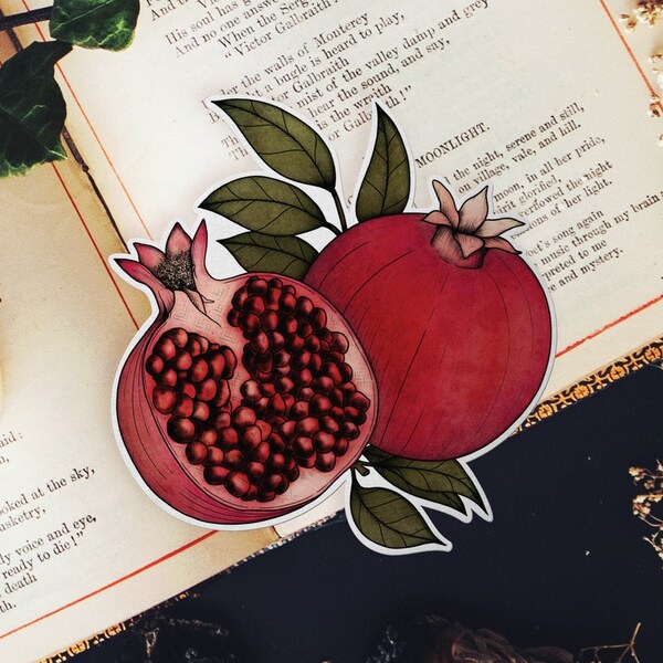 Pomegranate - Etsy