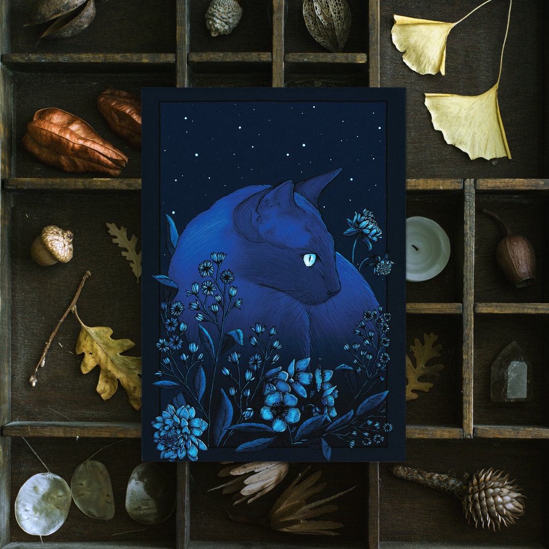 Witch's Cat Postcard Siamese Illustration Moon Child - Etsy