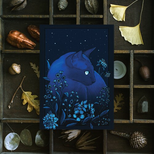 Witch's Cat Postcard Siamese Illustration Moon Child | Etsy