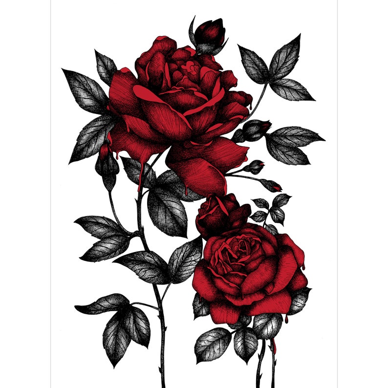 Bleeding Roses Art Print Dark Romance Rose Illustration | Etsy