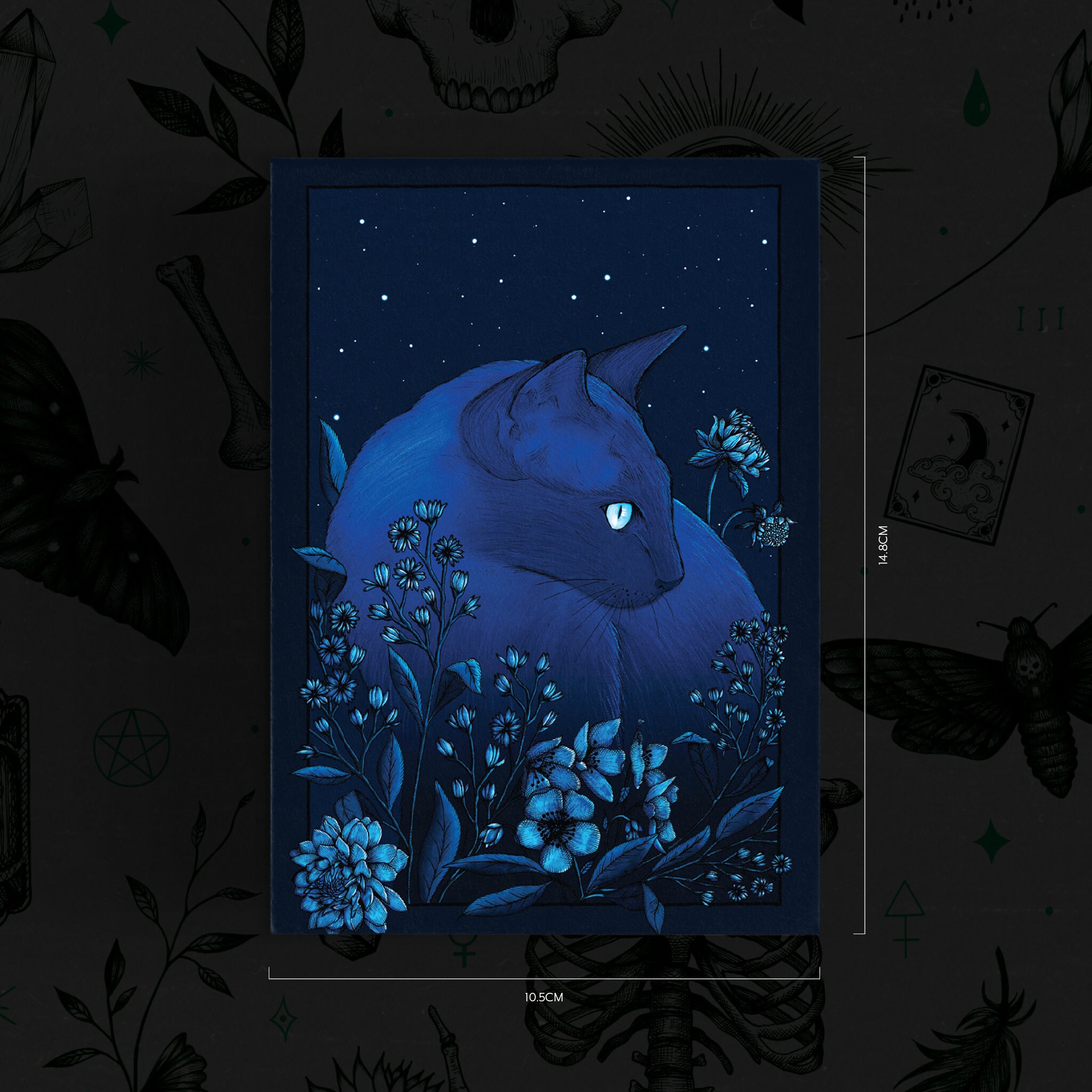 Witch's Cat Postcard Siamese Illustration Moon Child - Etsy