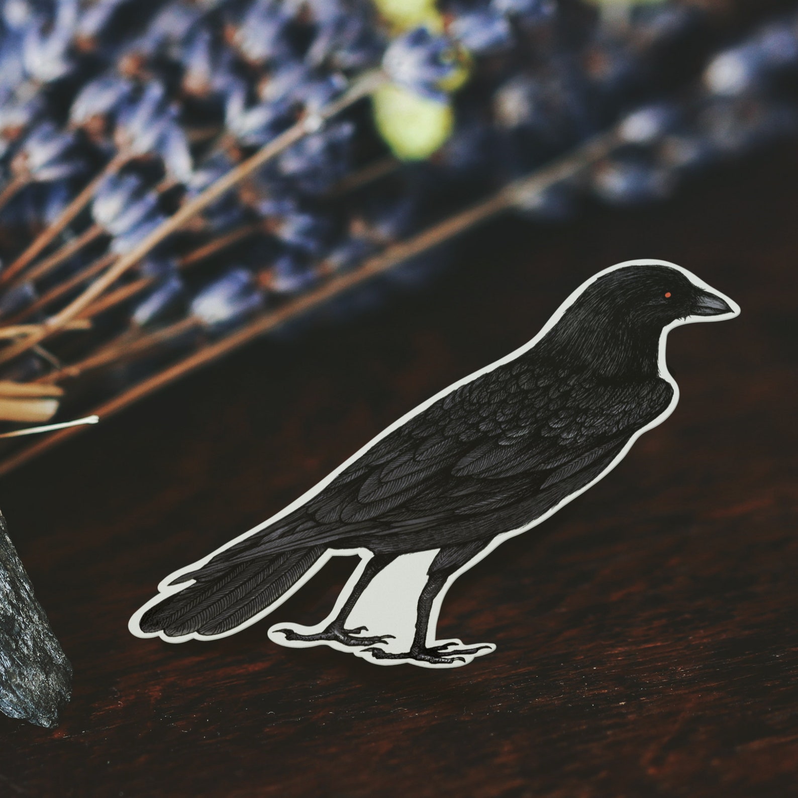 Black Crow Vinyl Sticker Crow Illustration Corvid Gothic - Etsy UK