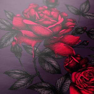 Bleeding Roses Giclée Print | Dark Romance | Rose Illustration ...