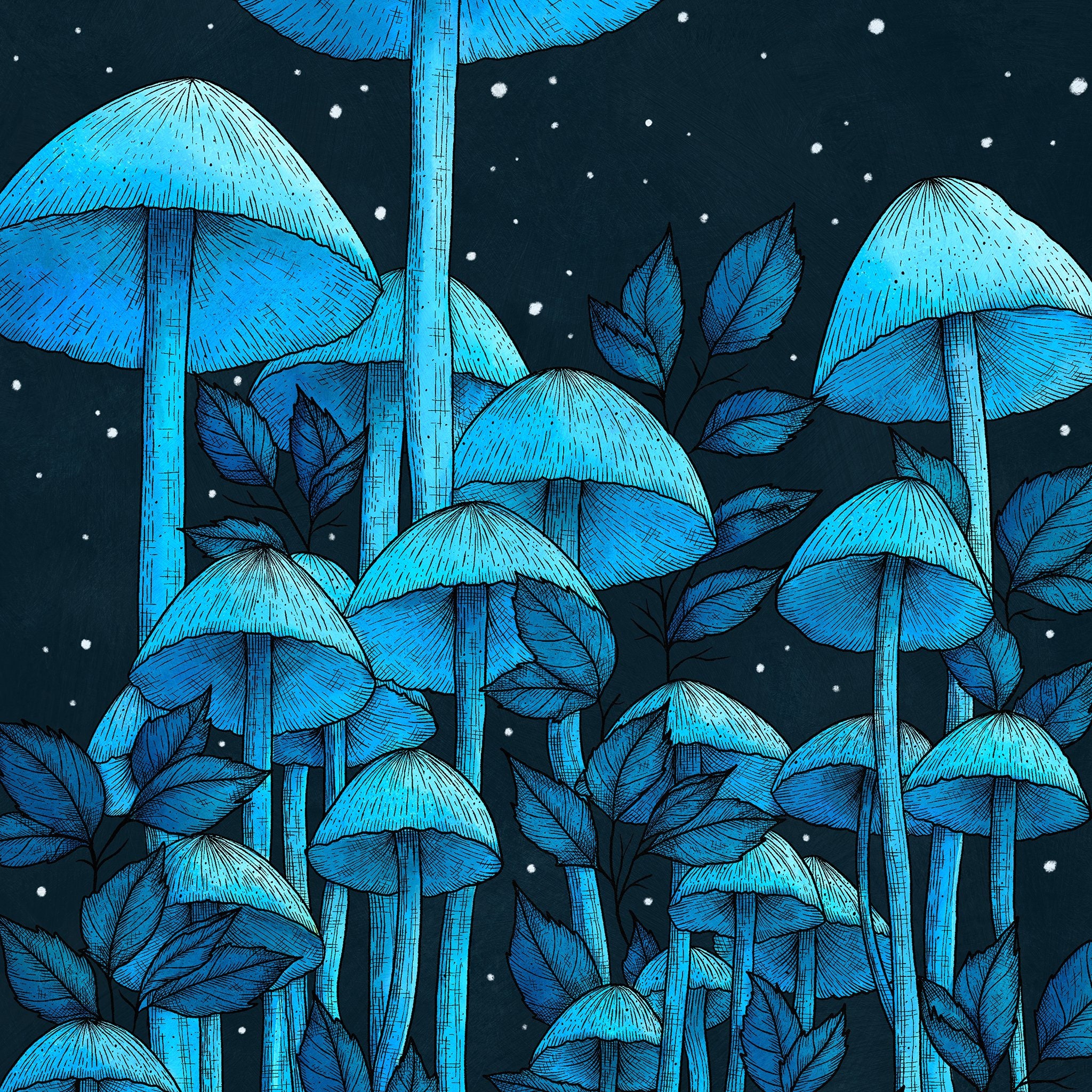 Star Mushrooms Art Print Witchy Home Decor Crescent Moon - Etsy