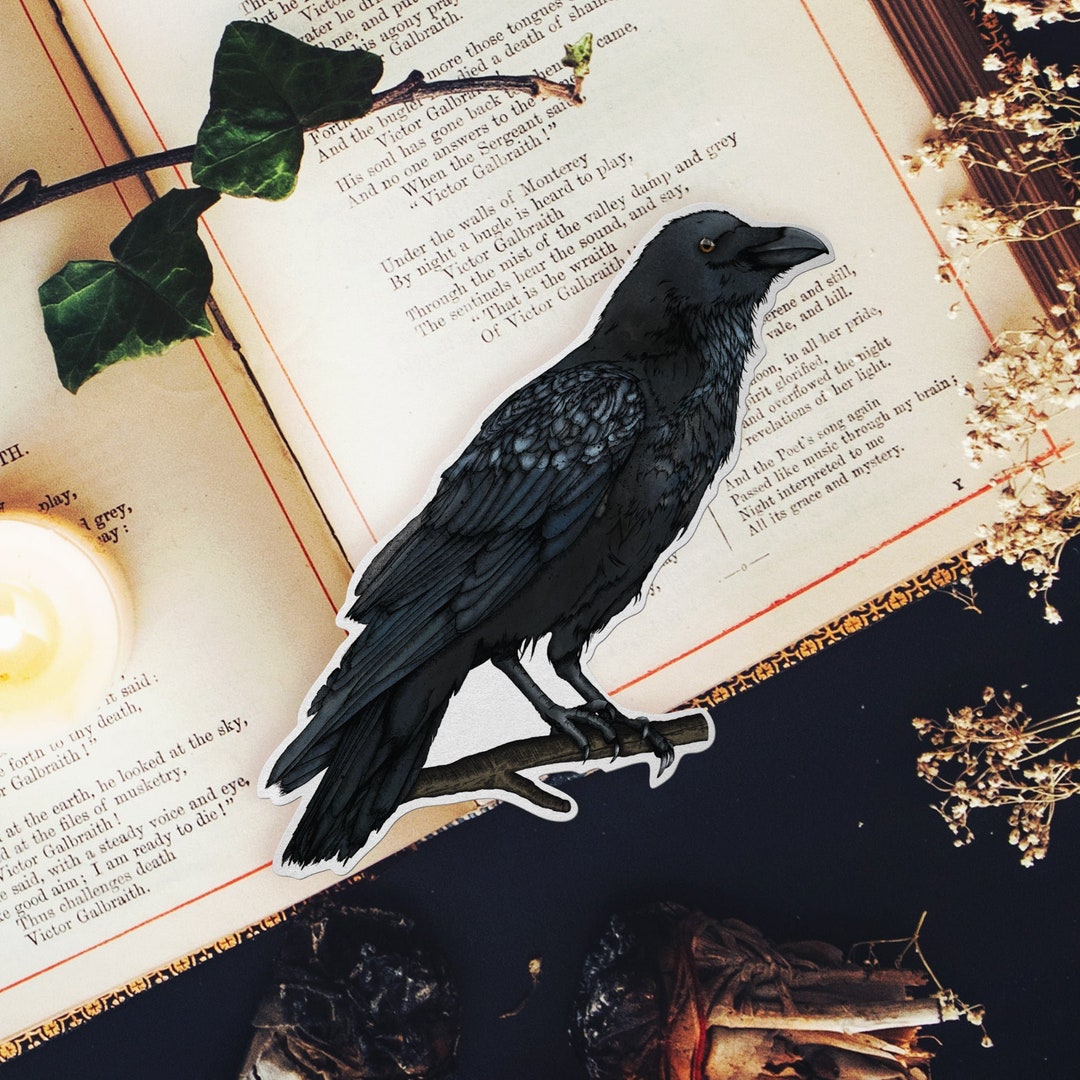 Black Raven Vinyl Sticker | Raven Illustration | Corvid | Gothic Art ...
