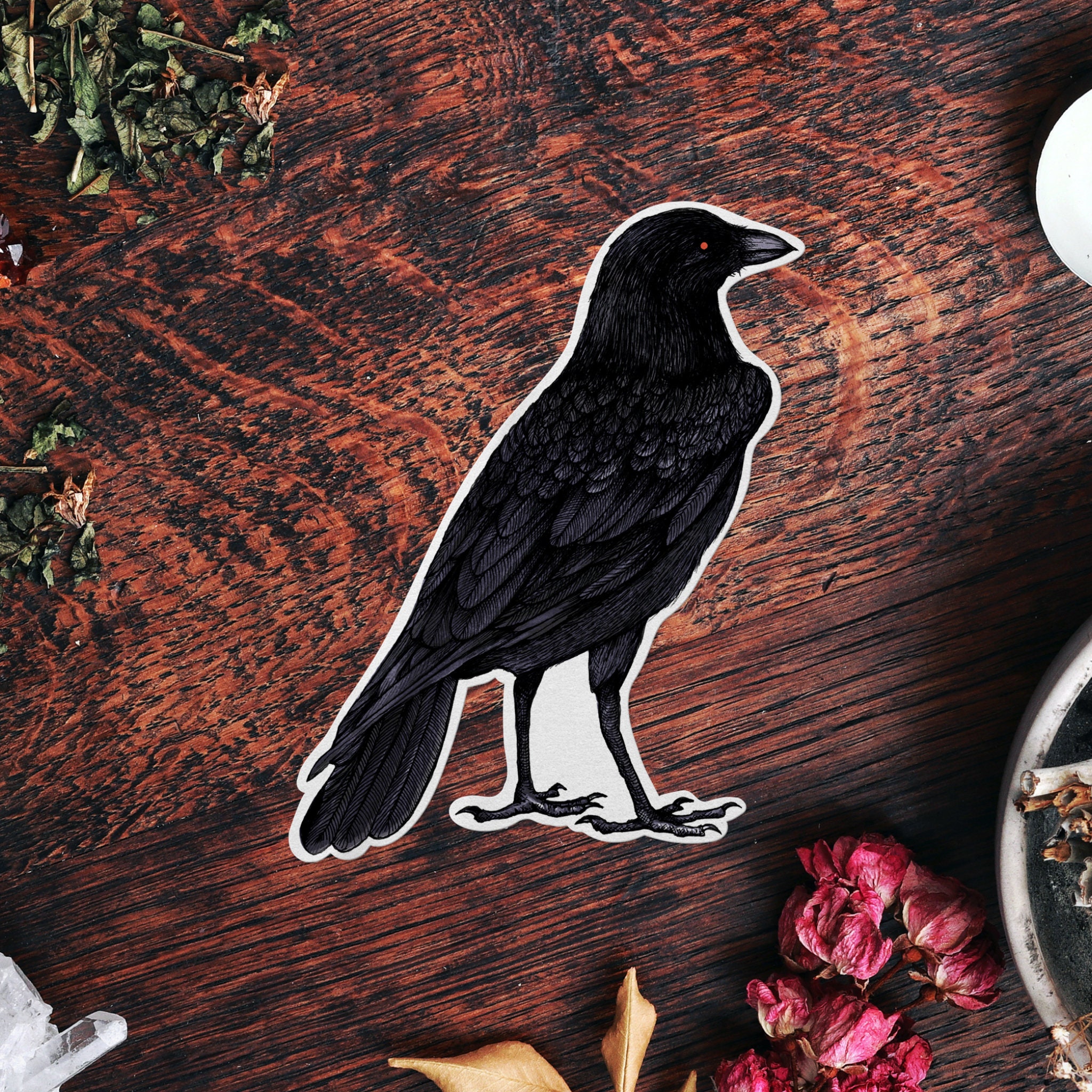 Black Crow Vinyl Sticker Crow Illustration Corvid Gothic - Etsy