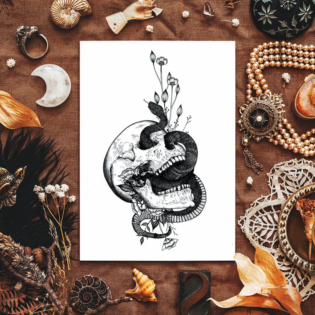 Snake and Skull - Giclée Art Print - Gothic Macabre Decor - Dark Nature ...