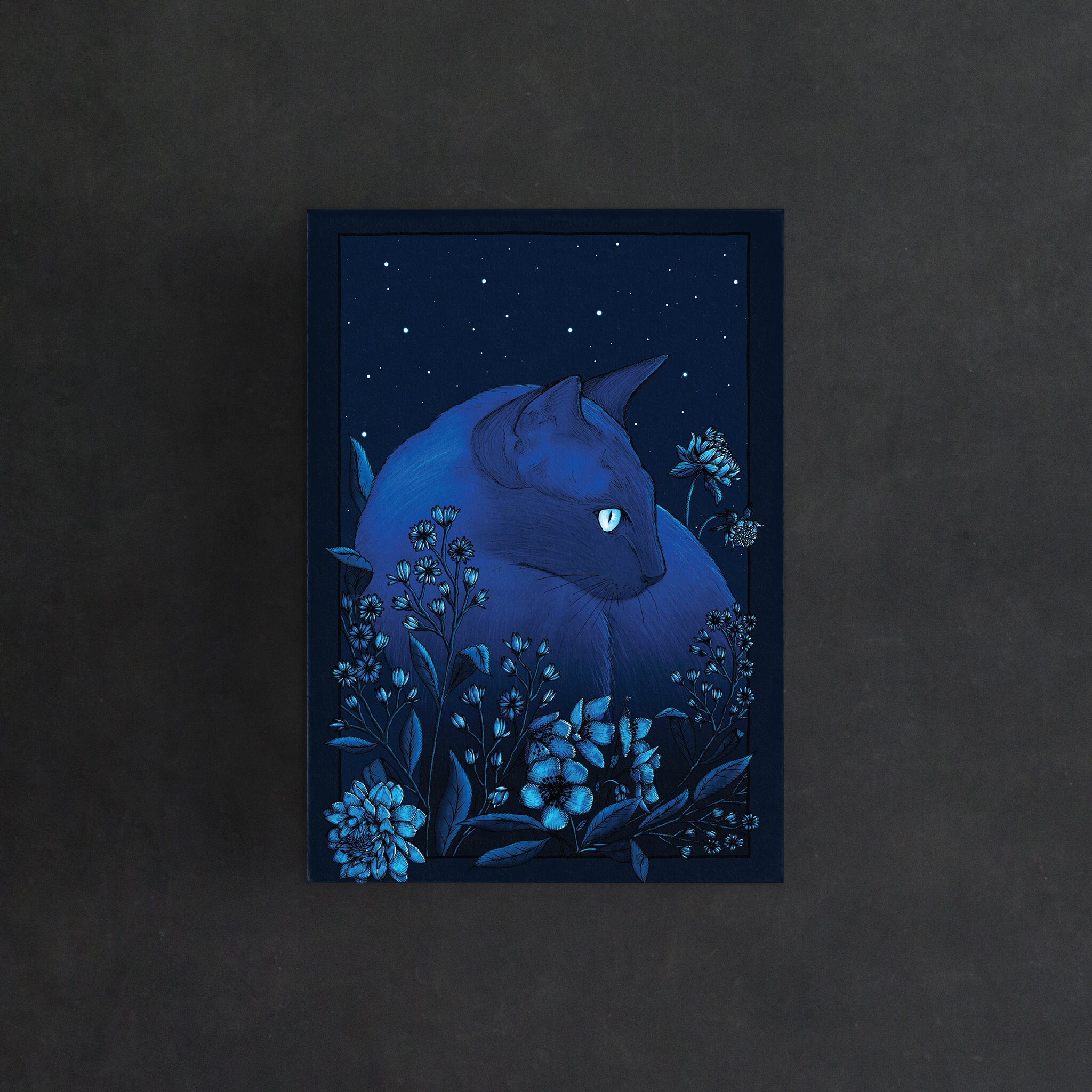 Witch's Cat Postcard Siamese Illustration Moon Child | Etsy