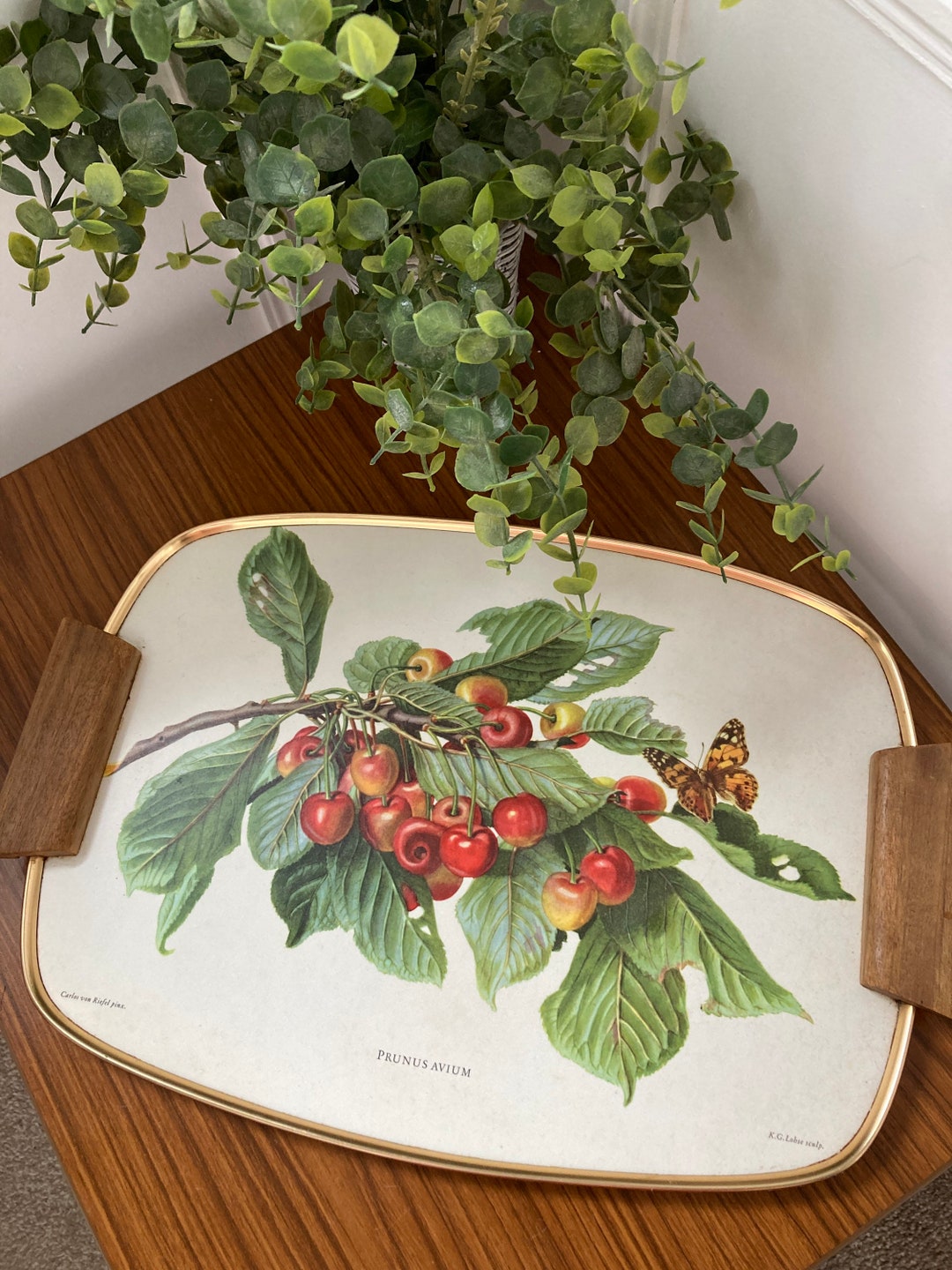 Vintage Fruit Tray, Wild Cherry Tray, Kitsch Fruit Tray, Colourful ...