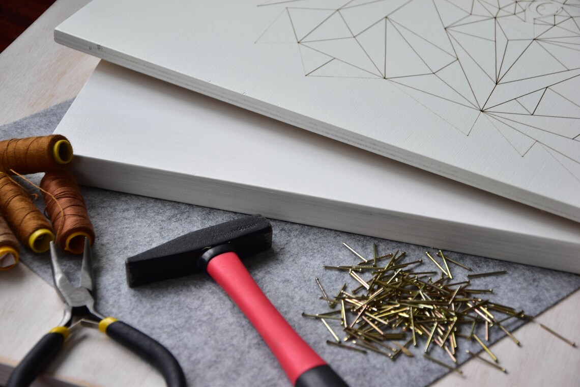 DIY Kit String Art Lion Wild Animal Wall Art - Etsy