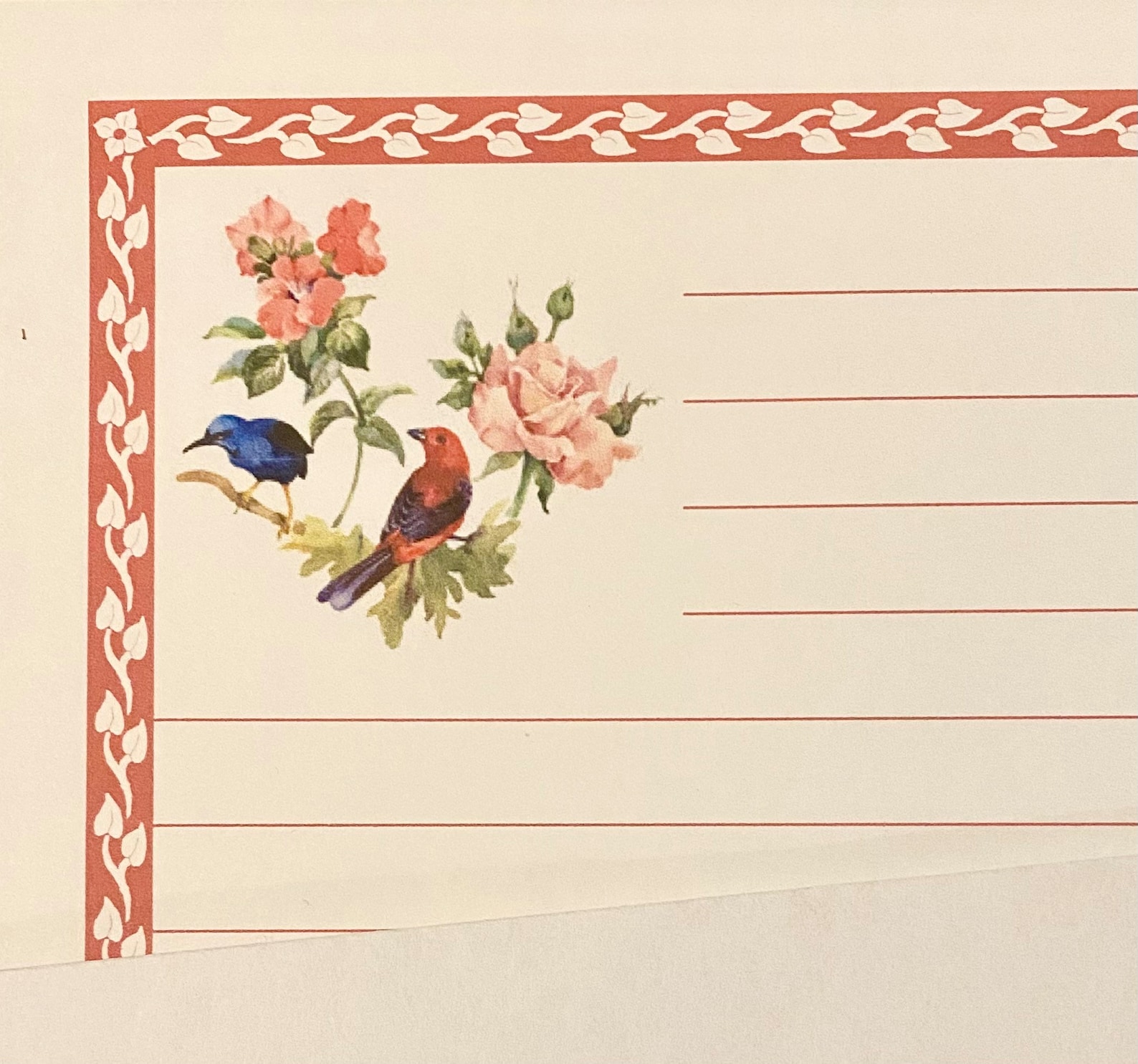 Stationery Set Lined - Blissful Birds Stationary Writing Paper - 12 ...