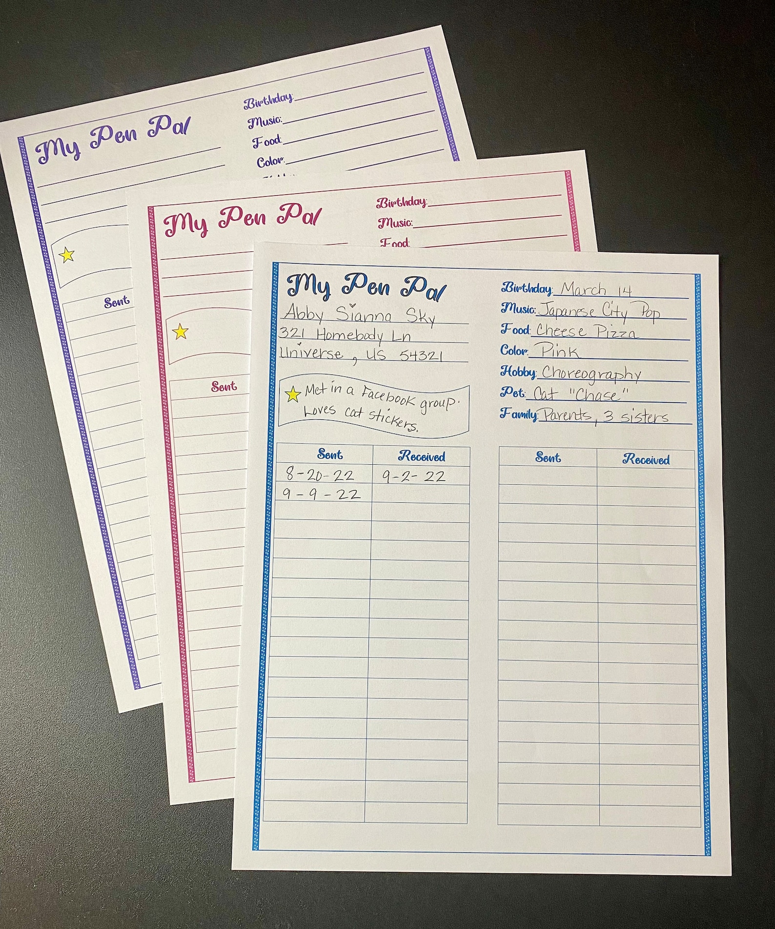 Stationary Pen Pal Tracker Sheets - 12 Sheets Front and Back ...