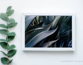 Printable Wall Art, Greenery, Photography, INSTANT DOWNLOAD, Wall Decor ...