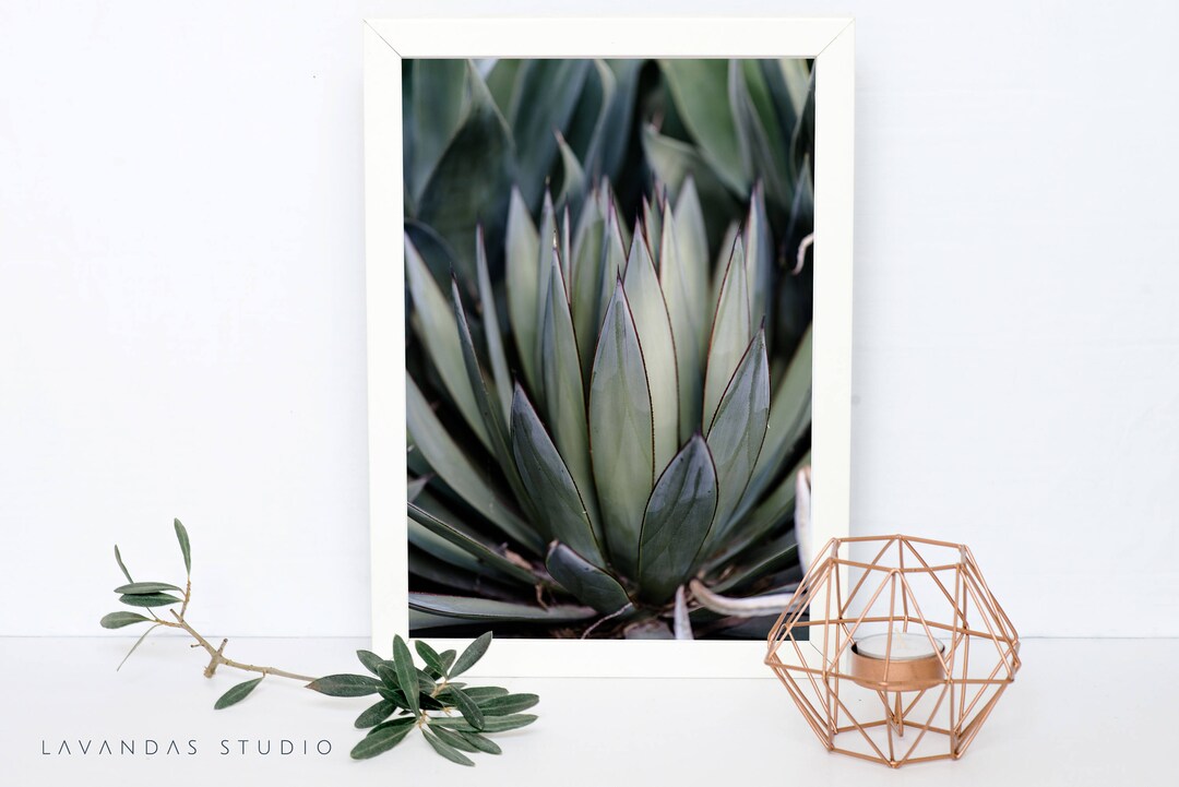Printable Wall Art, Greenery, Photography, INSTANT DOWNLOAD, Wall Decor ...