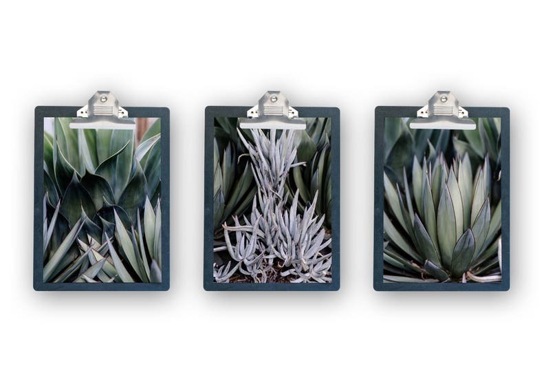 Printable Wall Art, Greenery, Photography, INSTANT DOWNLOAD, Wall Decor ...