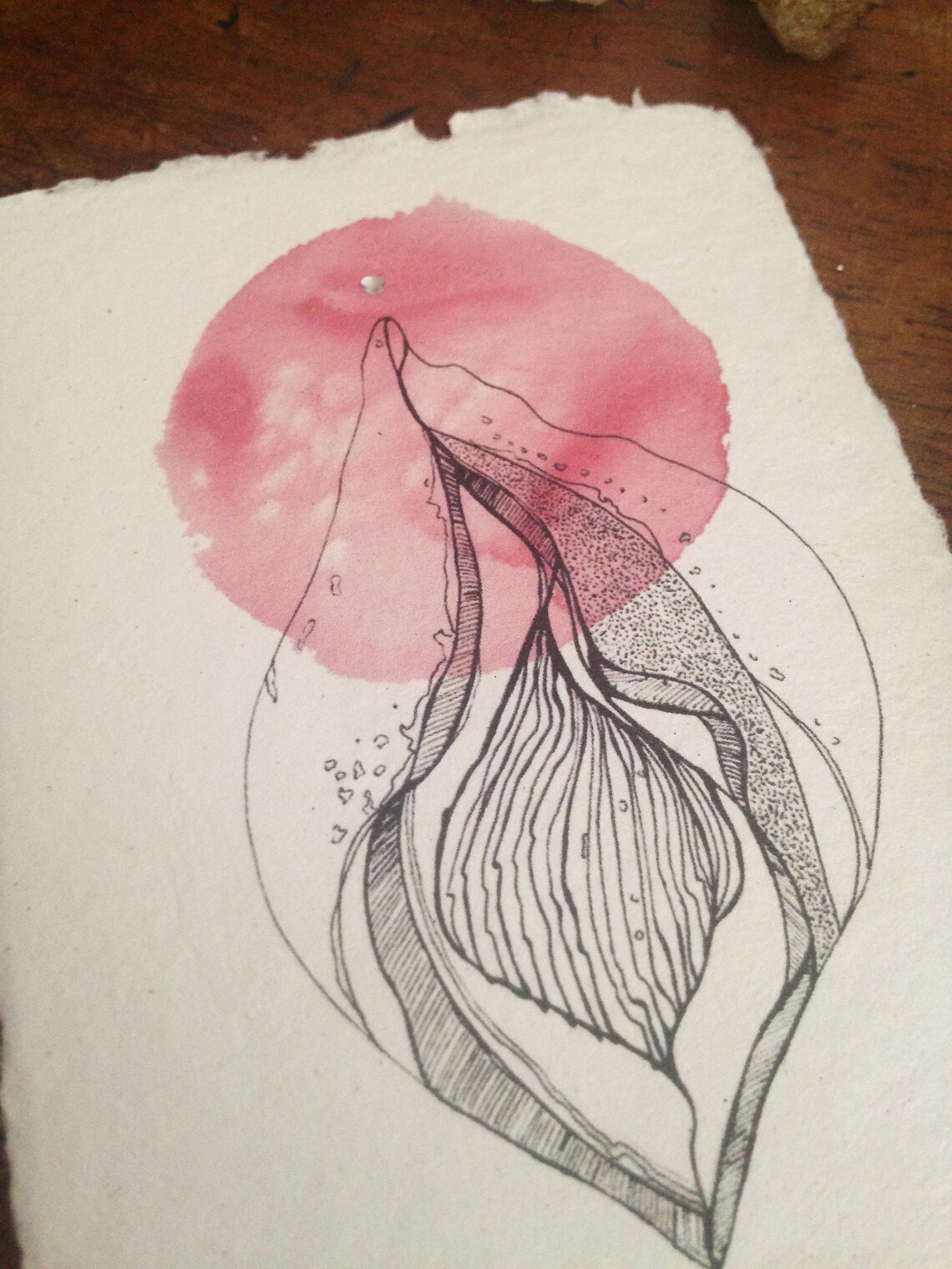 Tiny Vulva High Quality Limited Holy Vulva Print on | Etsy