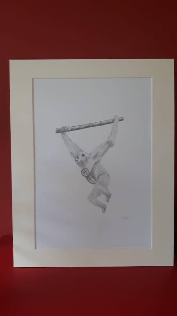 A4 Gibbon Drawing - Etsy