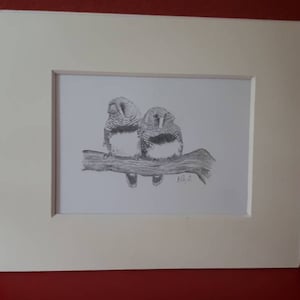 Mini Finch Drawing - Etsy
