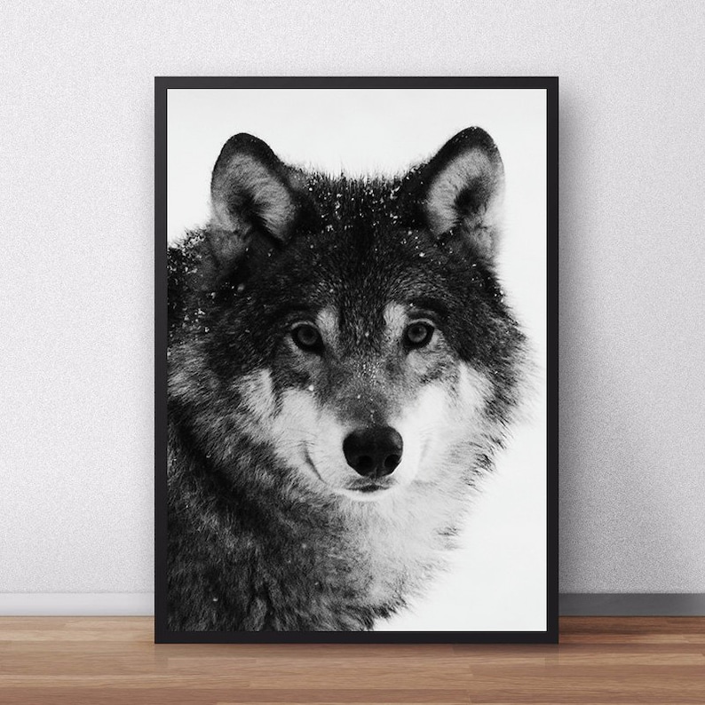 Wolf print wolf poster kids room decor wolf wall art wold | Etsy