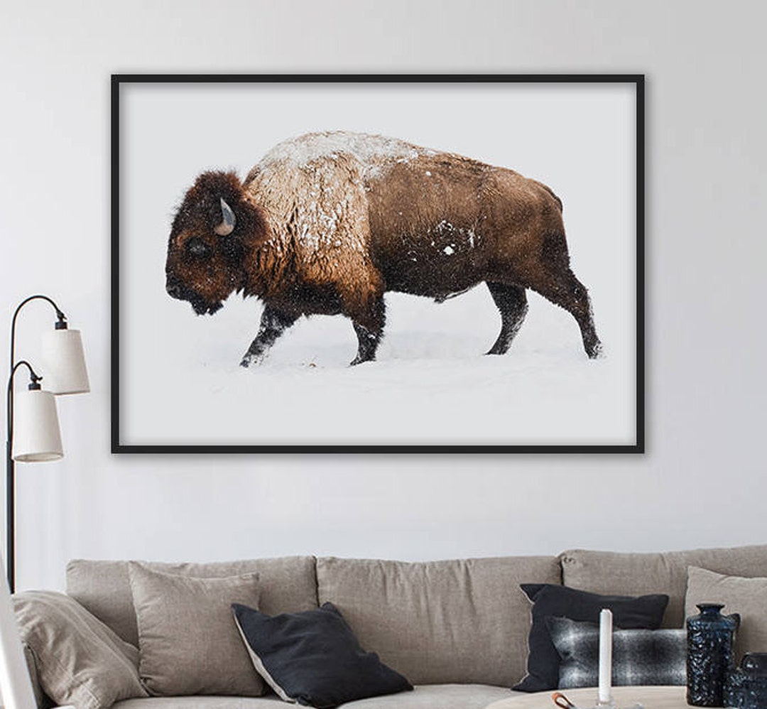 SALE! Bison Print, Buffalo Print, Animal Prints, Farmhouse Decor, Bison ...