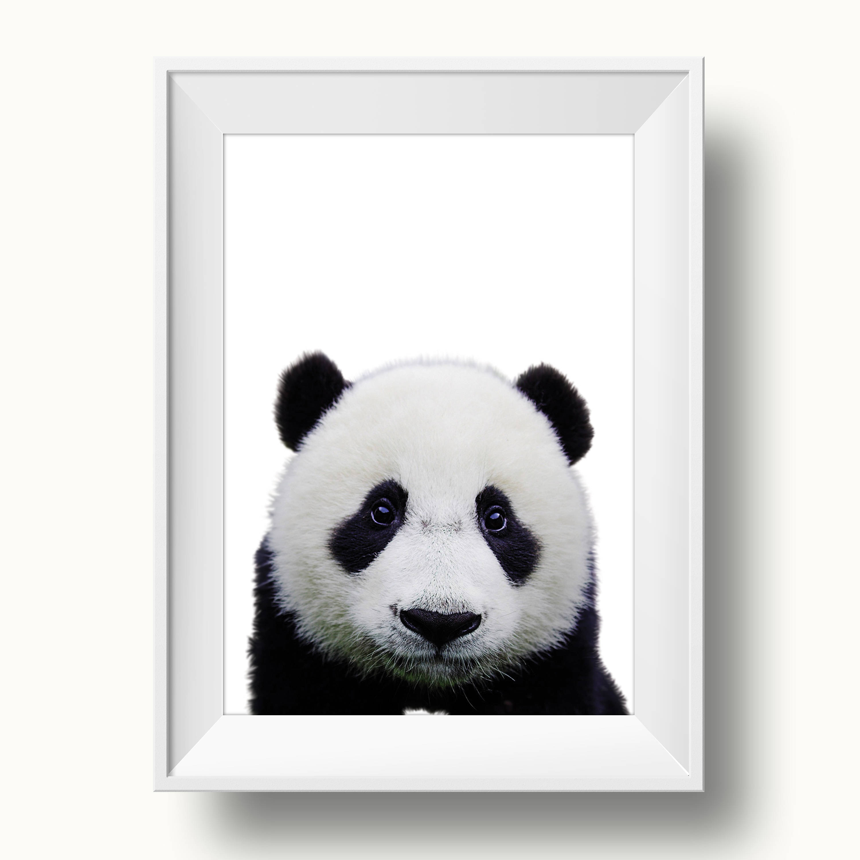Sale Panda Wall Print Panda Poster Nursery Panda Animal | Etsy