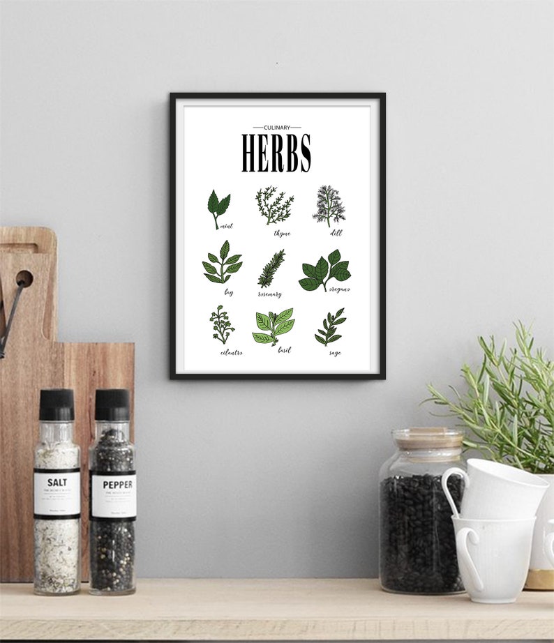 Herbs Print Herbs Poster Culinary Herbs Kitchen Herb Print - Etsy