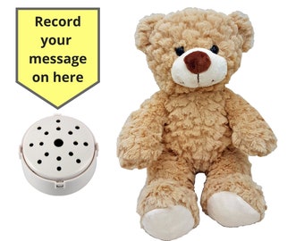 Voice Box Teddy Bear - Etsy