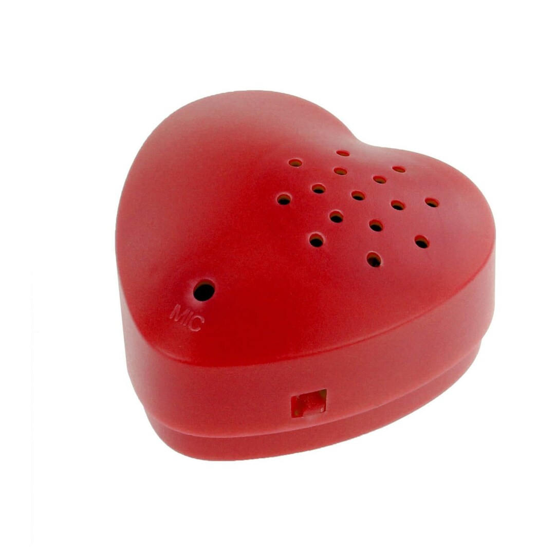 60 Second Heart-shaped Voice Recorder SOUND BOX All Craft Projects and ...